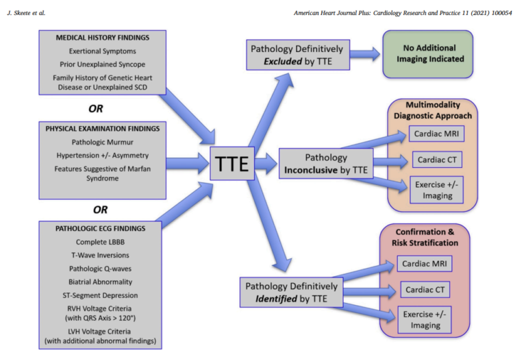 Preventing Sudden Cardiac Death in Athletes: The Role of ECG and ...